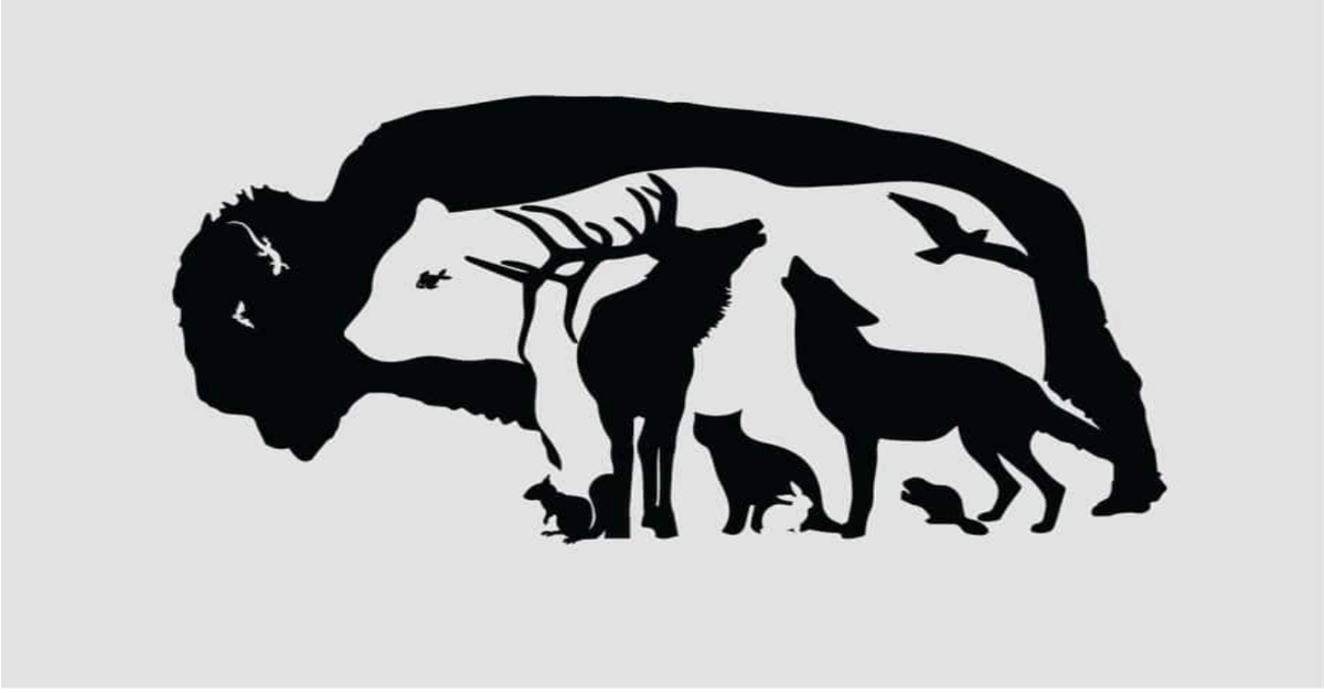 How Many Animals Can You Spot In This Picture 